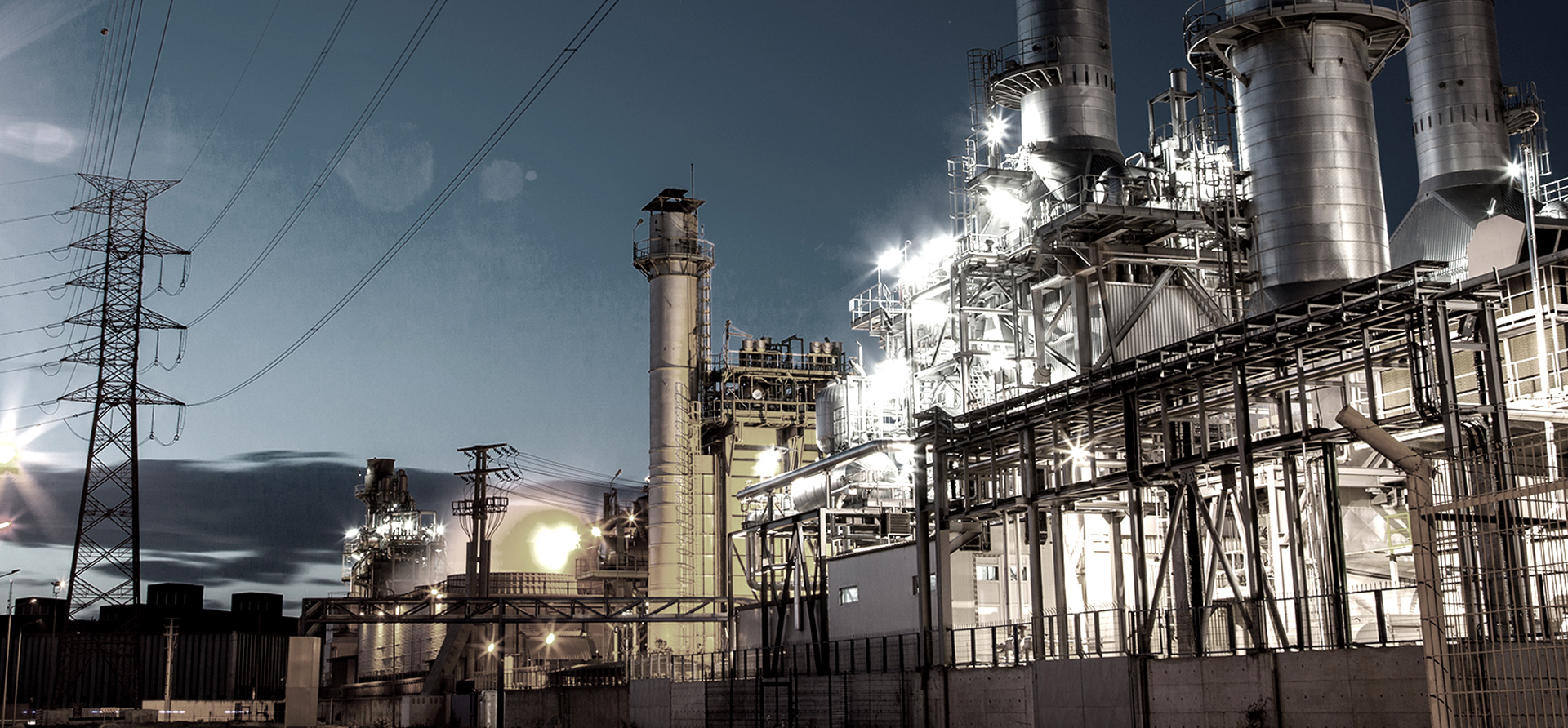 EES INTERNATIONAL PVT LTD – Trading and Service Provider